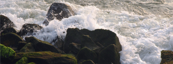 The Europa Group - Worldwide from Gibraltar